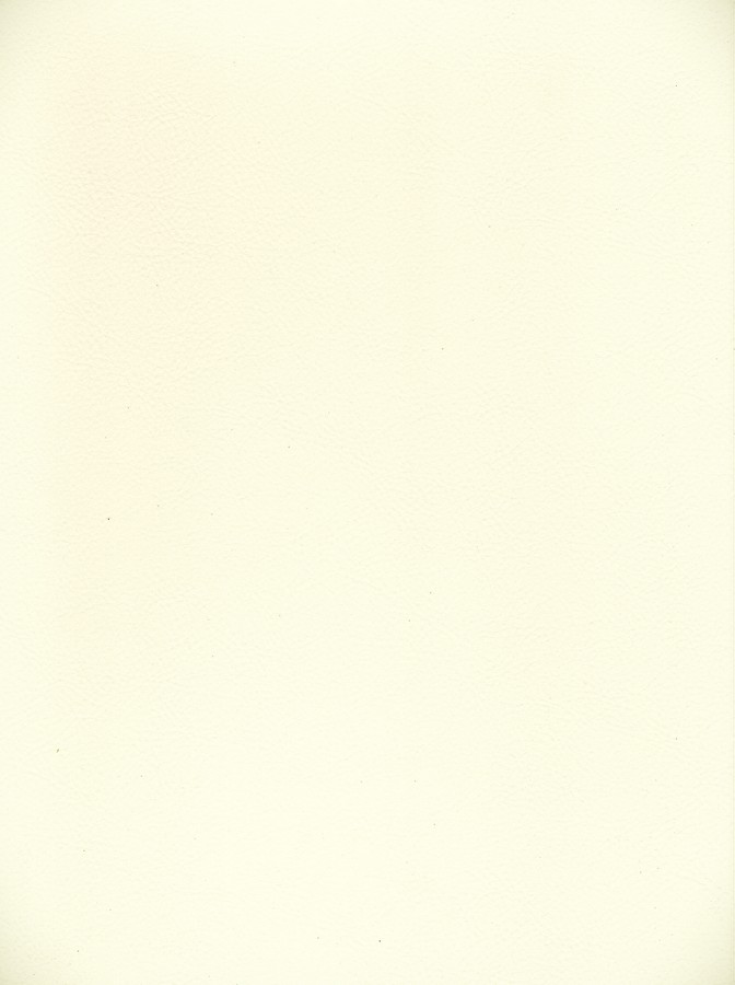 CBP9526 Alabaster Leather | Cocobolo Laminate